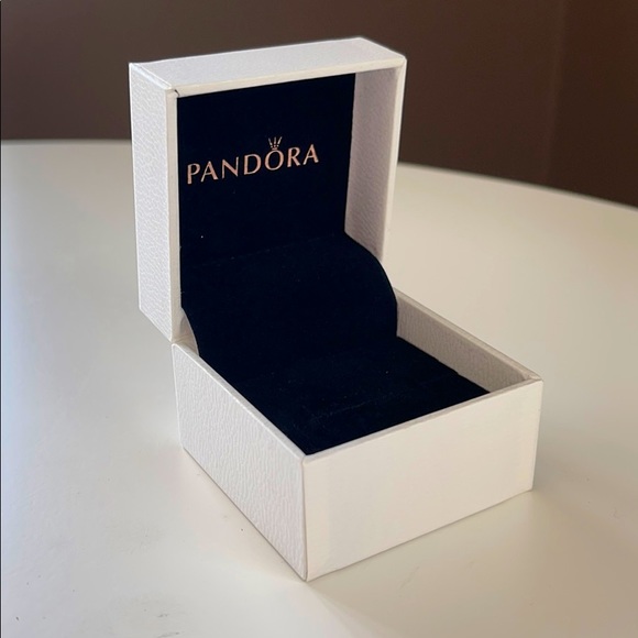Pandora | Other | Pandora Box | Poshmark